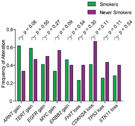 Genes Commonly Disrupted In Smokers And Ns Frequencies Of Copy Number Download Scientific