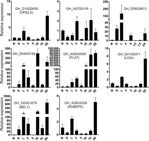 项目文章 Atac Seq和rna Seq揭示棉花纤维伸长过程中的关键基因cai J Wu Z Song Z Et