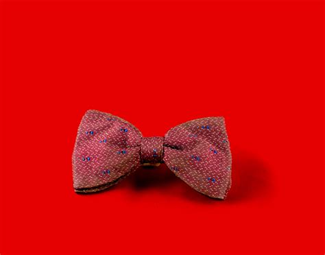 Лептир машна НАРОДНИ МУЗЕЈ ПАНЧЕВА