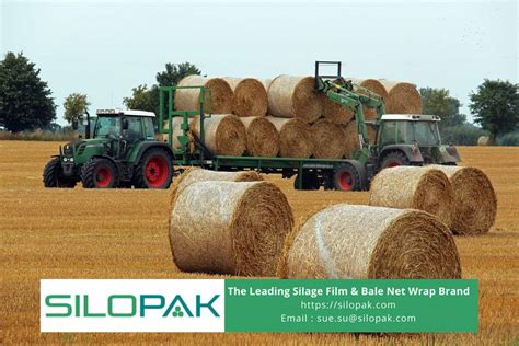 Baleage Moisture Level Affects The Quality Of The Forage