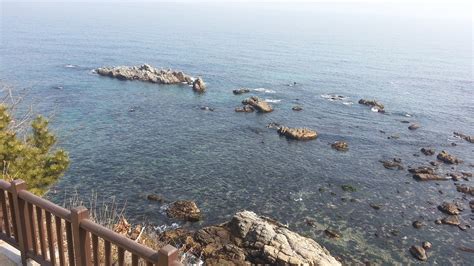 바다 난간 Free Photo On Pixabay Pixabay