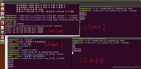 Linux下使用多进程实现一个tcp Server，使多个客户端和服务器进行通信linux Tcp服务器 多客户端 Csdn博客