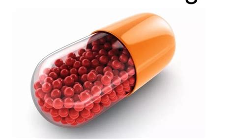 Granulate Karteikarten Quizlet