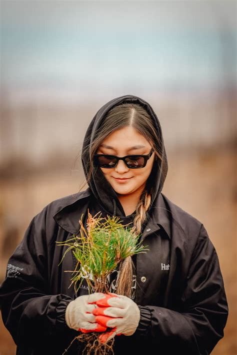 Мөнхчулууны Хушхан брэнд самрын модоо тарьдаг болжээ Олон нийтэд “Хушхан” брэндээр танигдсан