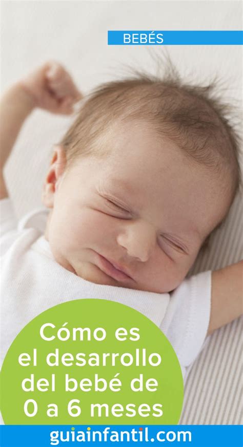 Cómo Es La Evolución Y El Desarrollo Del Bebé De 0 A 6 Meses