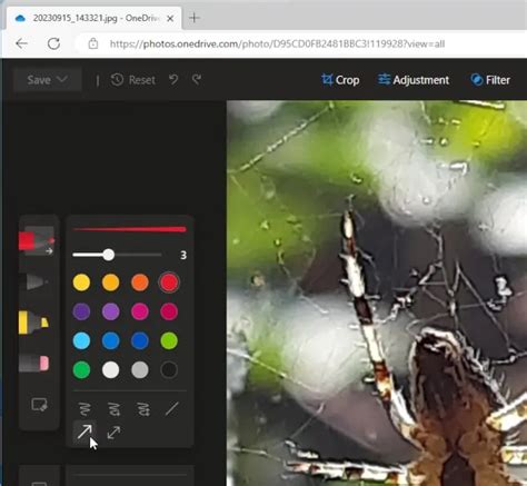 Use The Built In Markup Editor To Highlight Images On Onedrive