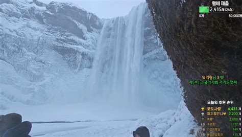폭설이여도 폭포물은 흐른다 행배 In 아이슬란드 숲 Soop 에펨코리아