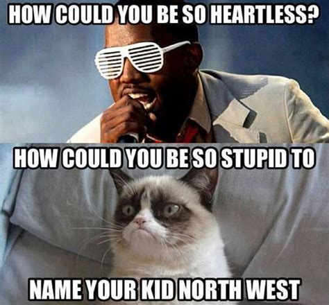 Heartless Grumpy Cat Heartless Grumpy Cat