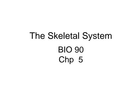 SOLUTION The Skeletal System Functions Of Bones Bones Of The Human Body Classification Of Bones