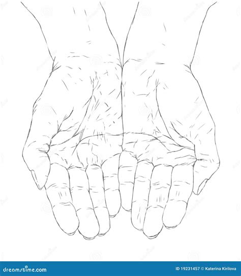 Cupped Hands Vector Illustration 19231457