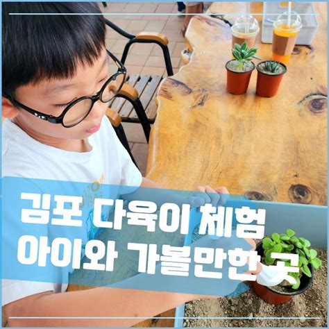 김포 어린이 체험 아름다운 정원에서 다육이 화분 만들기 활동 네이버 블로그