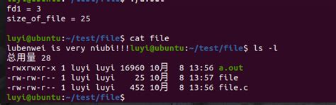 linux 文件编程 read函数 linux read函数 csdn博客