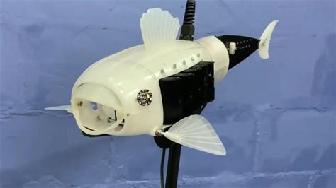 3d Printed Robotic Fish That Filters Microplastics Using Its Gills R