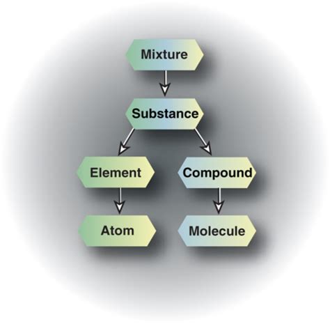 Chapter 1 And 2 Quiz Flashcards Quizlet