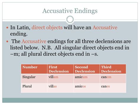 PPT Learning The Latin Accusative Case And Direct Objects PowerPoint Presentation ID 9111356