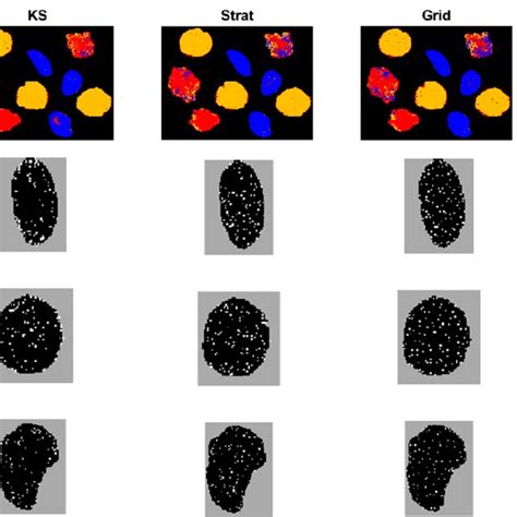 Prediction Maps Top Row For Each Sampling Method Applied To The Download Scientific Diagram
