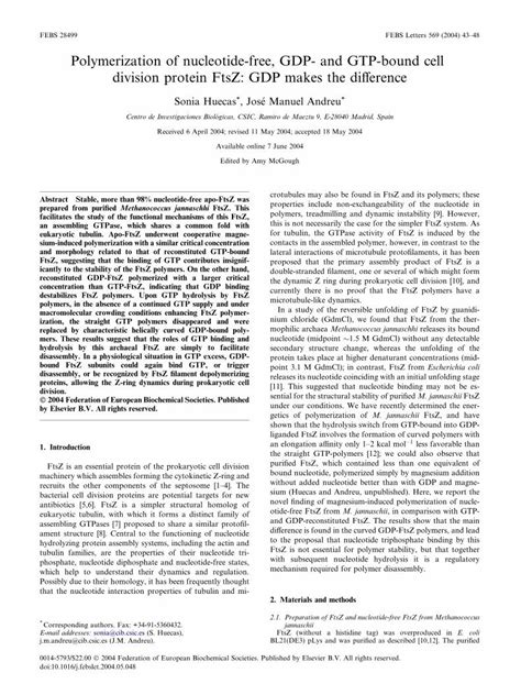 Pdf Polymerization Of Nucleotide Free Gdp And Gtp Bound Cell
