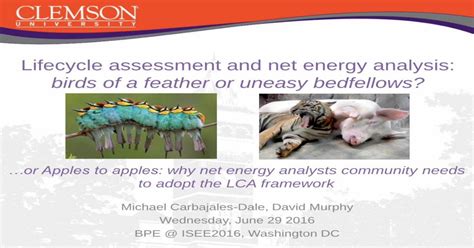 pdf lifecycle assessment and net energy analysis birds of a