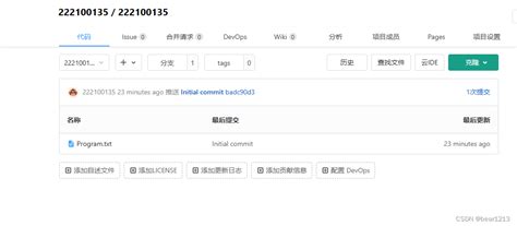 软件工程实践寒假作业 csdn社区