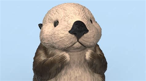 🦦 cute sea otter stl and vrml・ stl file for ・cults