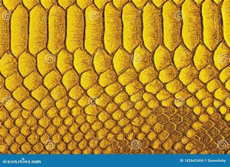 Yellow Python Skin Background Yellow Reptile Leather Texture Stock