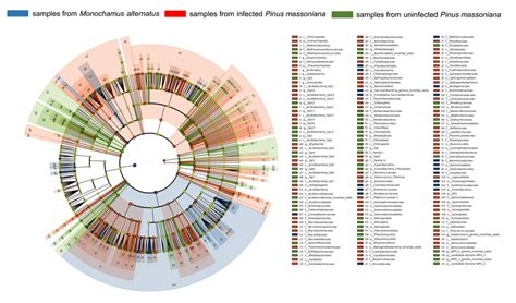 Cladogram Of Bacteria From Monochamus Alternatus And Infected And