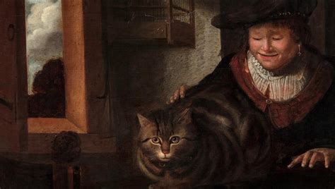 รีวิวสารคดี Netflix Inside The Mind Of A Cat วิธีเข้าใจและได้ใจแมวใน