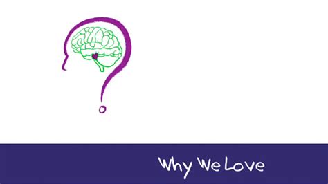Why Do We Fall In Love L The Anatomy Of Love