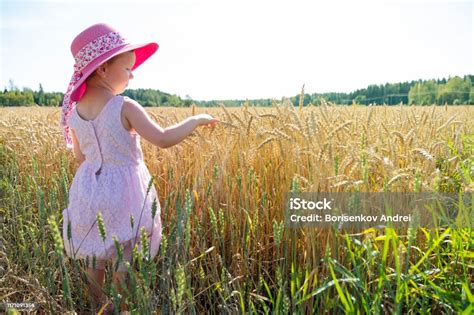 분홍색 챙이 넓은 모자를 쓴 소녀 한 소녀가 노란 밀 귀를 가진 들판에 서 있었다 농촌 풍경 4 5세에 대한 스톡 사진 및 기타