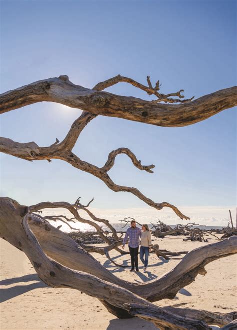 Jekyll By The Numbers • Jekyll Island Georgia • Vacation Conservation