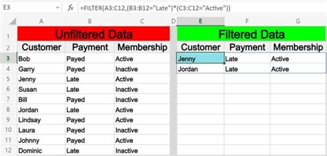 using the filter function in excel single or multiple conditions