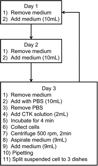 Procedure Diagram Of Automated Culture Of Hips Cells Days 12
