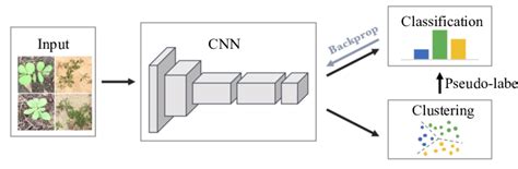 The Framework Of Deepcluster Algorithm Deep Features Are Clustered