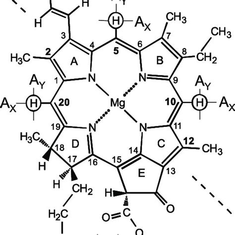 Molecular Structure Of Chl A With Numbering Scheme Orientation Of The