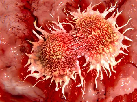 Cells