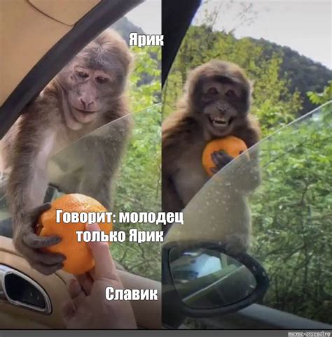 Сomics Meme Ярик Говорит молодец только Ярик Славик Comics Meme