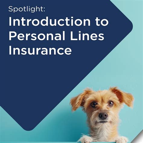 Chartered Insurance Institute On Linkedin Cii Ciitraining Ciicourses Personallinesinsurance