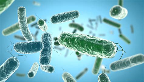 New Software Transforms Real Time Pathogen Surveillance Emednews