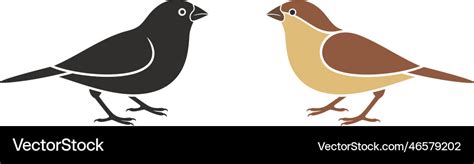 Sparrow Royalty Free Vector Image Vectorstock