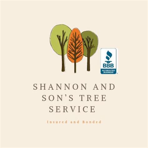 Winston Salem Area Tree Service Shannon And Son S