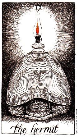 Wild Unknown Tarot Reviews & Images | Aeclectic Tarot