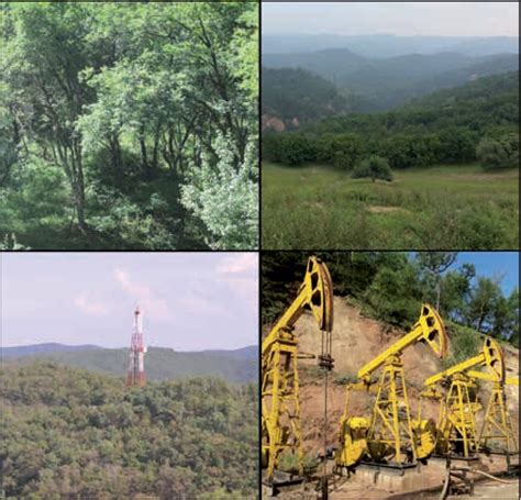 Figure 2 From Full Azimuth High Density 3d Point Source Point Receiver Seismic Survey For