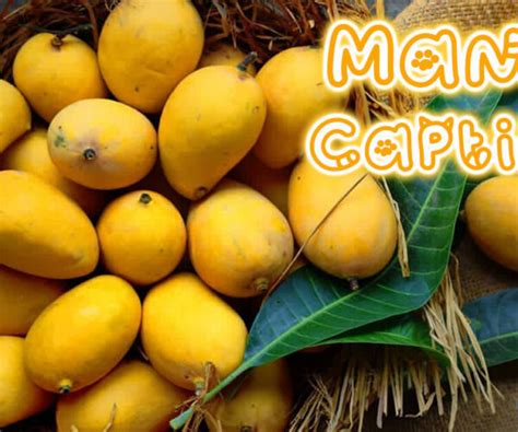 Winter Instagram Captions To Warm Your Day Captionpost