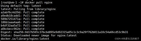 Docker Pull 拉取失败，设置docker国内镜像docker Pull 失败 Csdn博客
