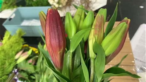 나리 빨강 백합 생화 꽃집 꽃집창업 꽃값 온라인꽃시장 온라인꽃도매 인터넷꽃시장 인터넷꽃도매 서울꽃시장 꽃농장 꽃배송 생화배송 생화도매 생화택배 꽃배달 생화배달 생화주문 생화