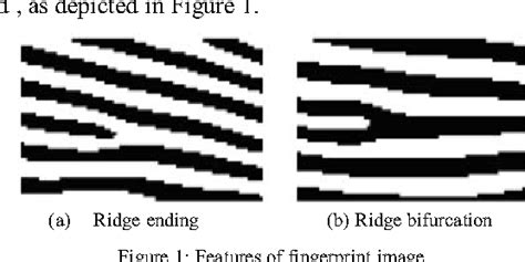 Figure 1 From Fpga Implementation Of Orientation Field Estimation Of