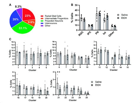 distribution of cell across cell types a pie chart of the percentage