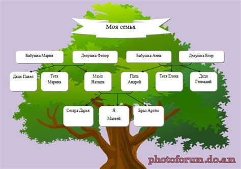 Как правильно составить древо семьи образец схема с описанием и фото