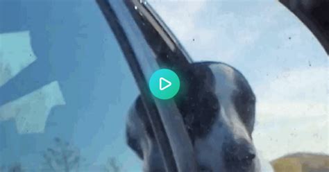 we have lift off album on imgur