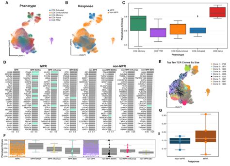 Trm Markers And Mana Specific Clonotypes A Umap Of Phenotypes Download Scientific Diagram